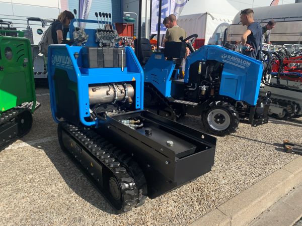 Invasion de chenillards pour les vignes de Champagne